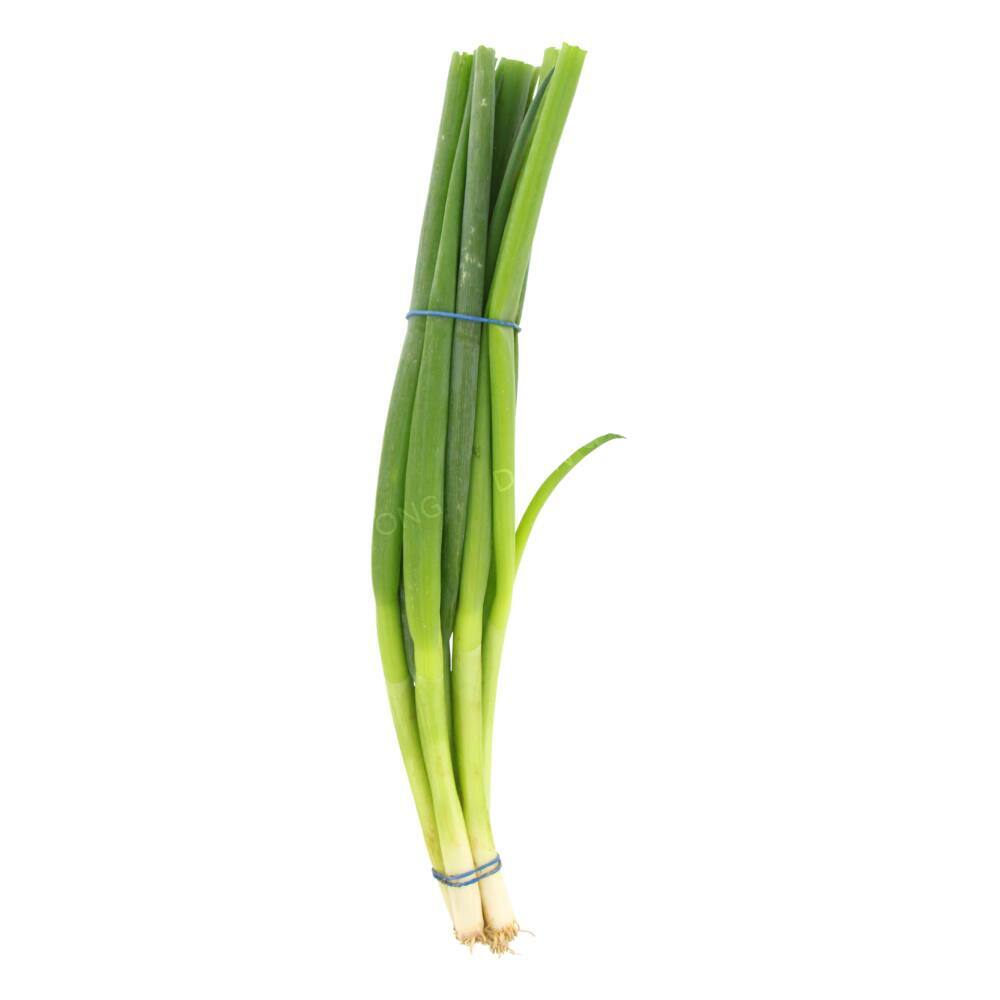 Fresh Spring Onion (NL) 1bdl – Dun Yong Webshop