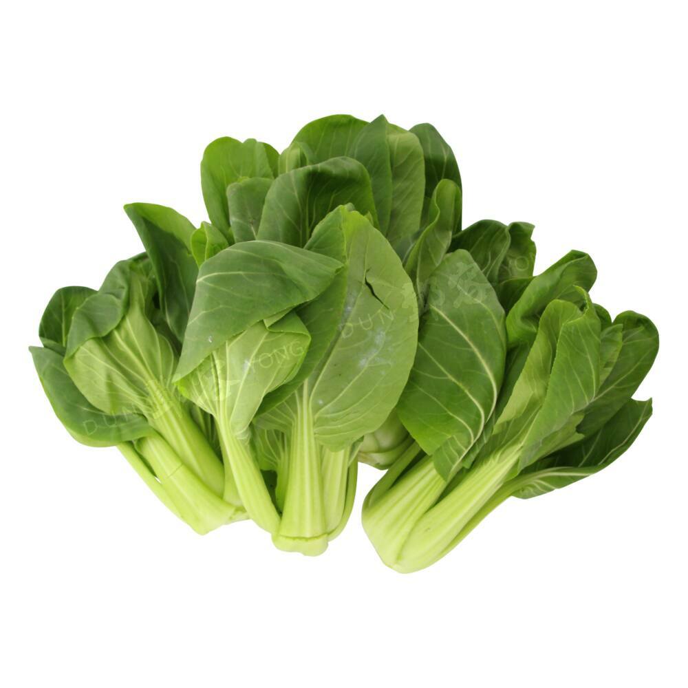 Fresh Shanghai Bai Cai (NL) 400g – Dun Yong Webshop